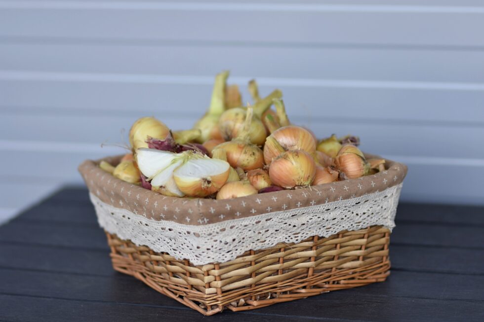 Sibul (Jõgeva 3/Peipsi Sibul) 1kg - Kõlleste Garlic